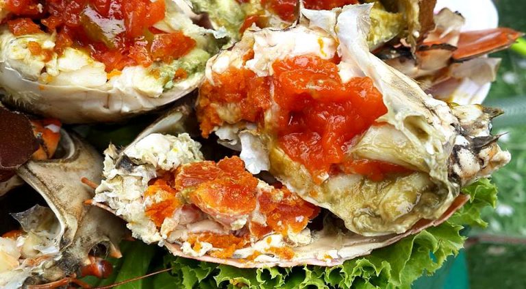 รวมร้าน"ปูไข่" ชื่อดัง ที่ใครๆ ก็บอกว่าดีที่สุดในเมืองไทย | PaaPaii.com