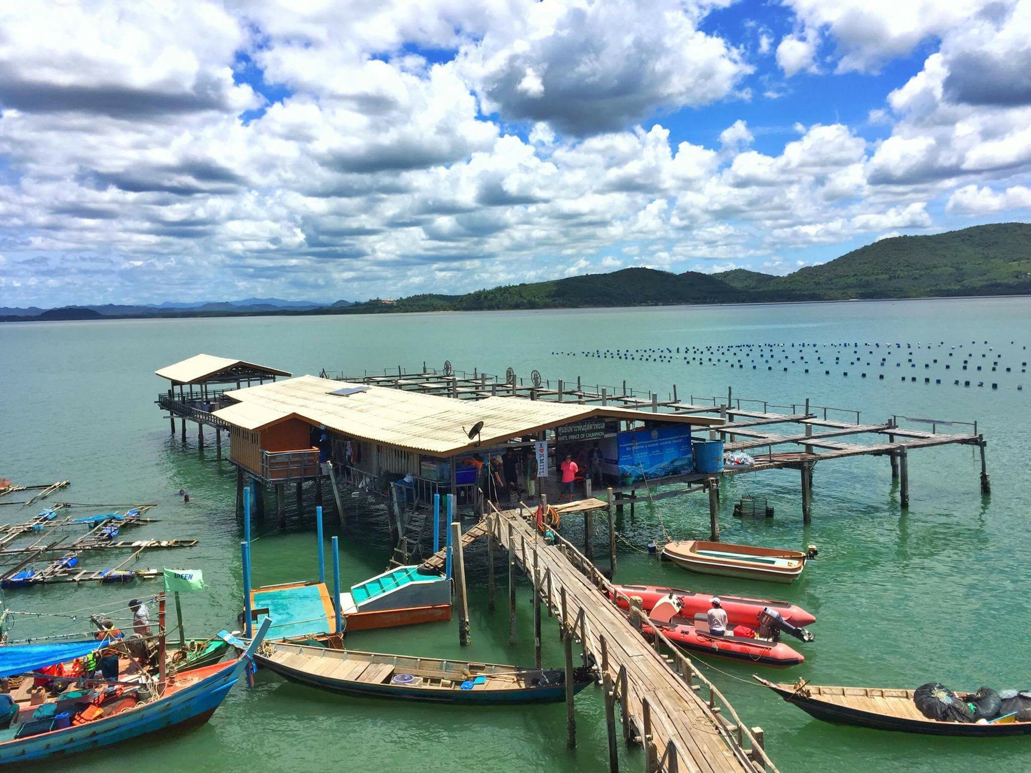 นั่งกินปู-ดำน้ำดูปะการังเกาะพระ เกาะยอ เกาะเวียง 2,000 ก็ยังเหลือเงิน ...